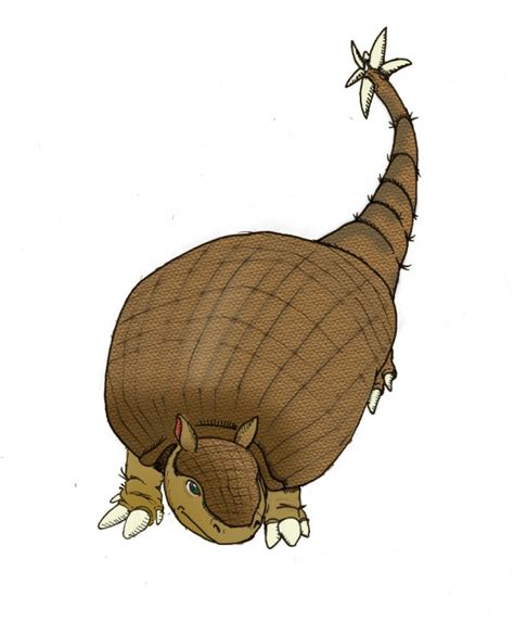 Xenarthra Canal Cecierj