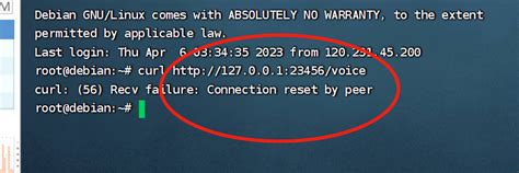 部署成功，打不开请求 · Issue 13 · Artrajzvits Simple Api · Github