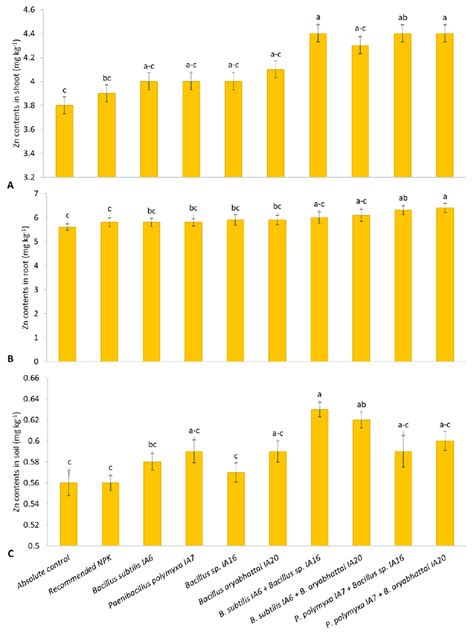 Effect Of Psb And Zsb Inoculation Zn Content In Shoot A Root B And Download Scientific