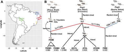 Geographical Locations And Breeding History Of The Eight Opossum