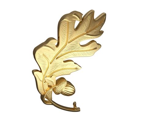 Premium Photo Oak Leaf 3d Render On A White Background