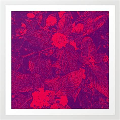 Raspberry Art Print By Betweenscreens Society6