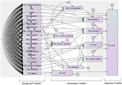 resultant sem based conceptual model that depicts interrelations among