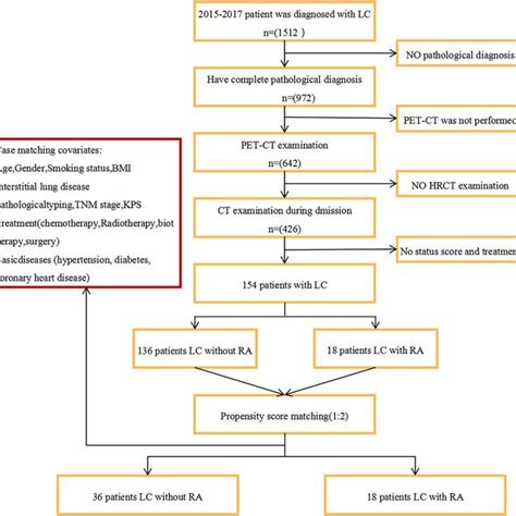 The Flowchart Displays The Selection Of Lung Cancer Patients For
