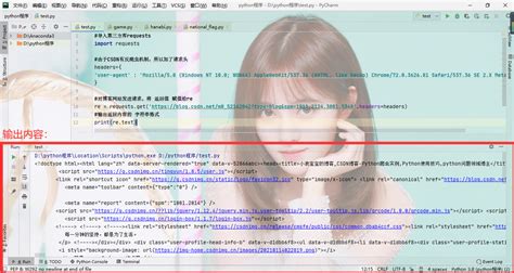 python爬虫的基本原理和requests的基本使用——爬虫入门 request爬虫 csdn博客