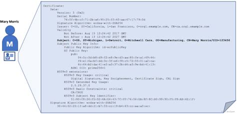 Hyperledger Fabric Csdn