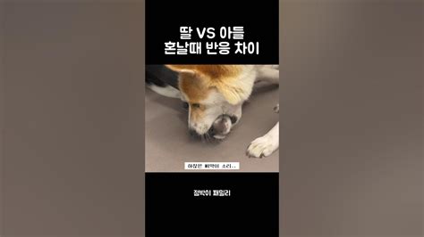 딸 키워봐야 소용없는 이유 Youtube