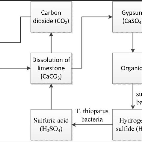 Schematic Diagram Of Compound Dissolution Of Limestone And Gypsum Download Scientific Diagram