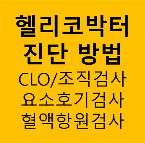 헬리코박터균 진단 방법 침습적 Clo 조직검사 비침습적 Ubt Hp Igg 네이버 블로그
