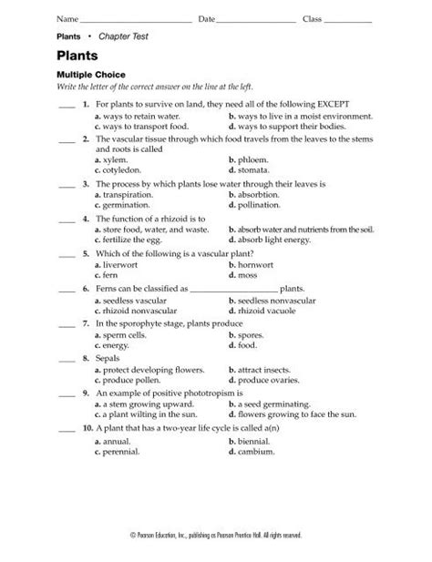 Chapter 8 Review Testpdf