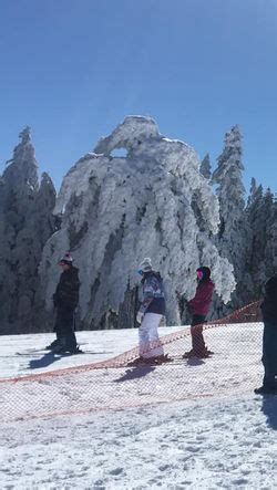 Alta Sierra Ski Resort Barewood And Lakeshore
