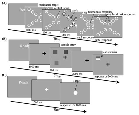 Examples Of A Ufov Task B Vwm Task And C Rt Task Used In The Download Scientific