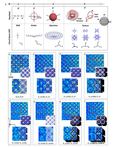 a dimensional hierarchy of topological defects when n scalar fields