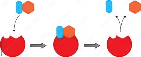 The Lock And Key Mechanism Stock Illustration Adobe Stock