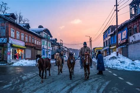 រដូវកាលព្រិលធ្លាក់ថ្មីៗ បានបន្តដំណើរការអាជីវកម្មសម្រាប់អ្នកជិះសេះនៅតំបន់កាស្មៀរប្រទេសឥណ្ឌា Cnc