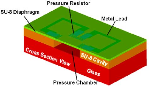 A Schematic Diagram For A Cross Section View Of The Pressure Sensor