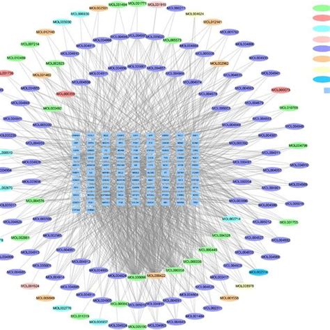 Active Ingredient Intersection Target Network The Ovals Represent Download Scientific Diagram