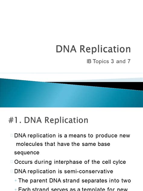 Dnareplication 100505182934 Phpapp02 Converted Pdf Dna Replication