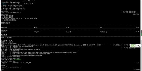 consul安装使用 csdn博客