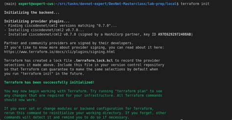 Terraform 100daysofccdeve Ccdeve Ciscocert Devnet Ciscochampion