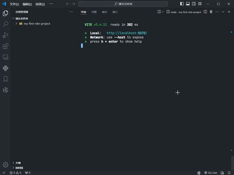 在vscode中创建vite项目 电子灭虫录