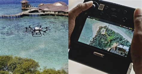 Ida A Joiner Ed D On Linkedin Scientists Are Fighting A Destructive Bug With Targeted