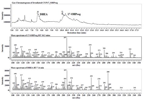 Gcms Spectrum Of Cyp17 Bound To 17 Oh Preg After Irradiation And