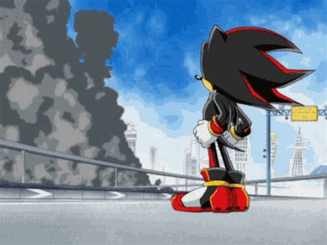 Sonic X Shadow The Hedgehog  Sonic X Shadow The Hedgehog Rouge The