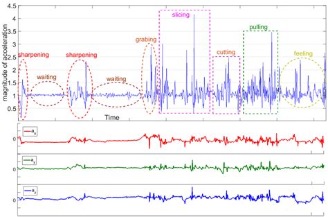 Different Activities In Acceleration Data The Bottom Plot Shows Download Scientific Diagram