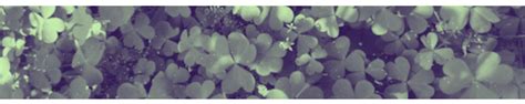 Tsunagu X Reader Explore Tumblr Posts And Blogs Tumgik