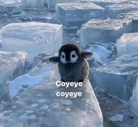 Ayuda Con Visual Basic En Excel R Mexico