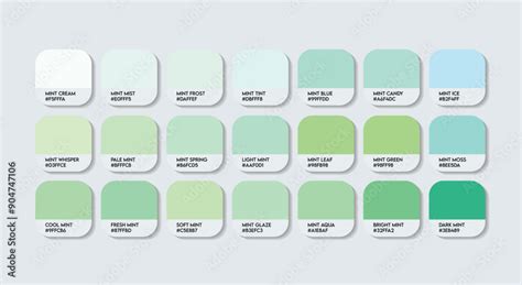 Mint Color Palette Mint Color Guide Palette With Color Names Catalog Samples Of Light Green