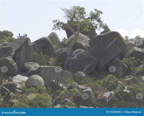 travelling around eritrea in summer days stock image image of