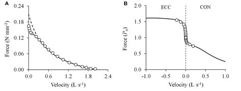 Curve Fitting Data In Excel Is Easier Than You Think
