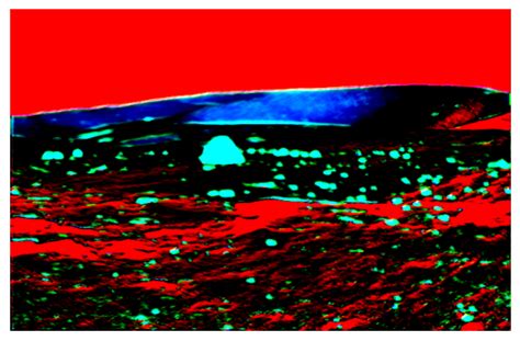 Github Creator 1523 Lunar Sample Detection