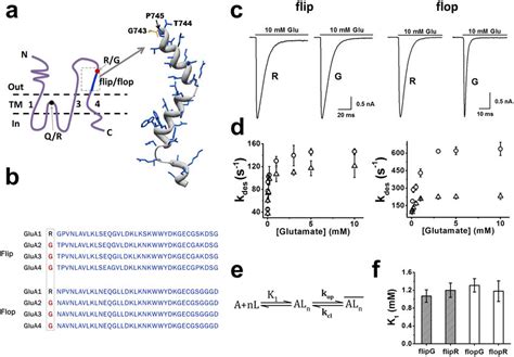 Ampa Receptor Sequences For R G Editing And Flip Flop Alternative Download Scientific Diagram