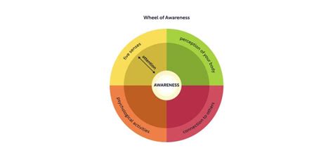 Dan Siegel The Wheel Of Awareness Parts And Practice Shortform Books