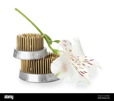 Ikebana kenzan with flower on white background Stock Photo - Alamy