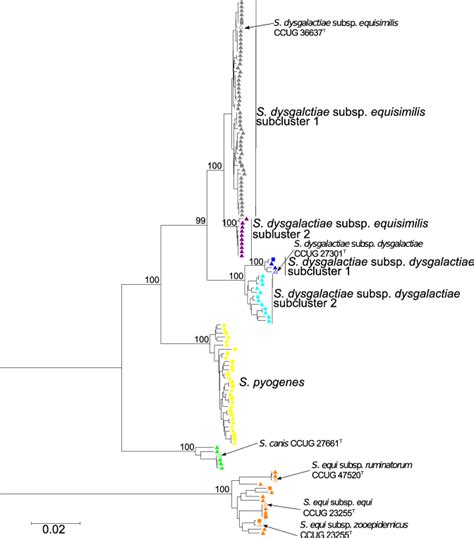 Minimum Evolution Tree Based On Concatenated Sequences Of Seven