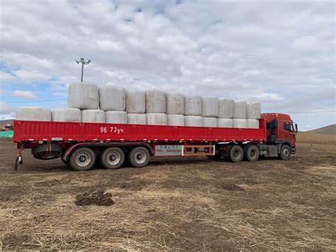 Шимт Агро Холдинг ХХК