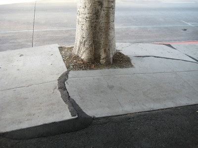 How To Replace Avoid Compacted Soil Under Urban Trees Denbow