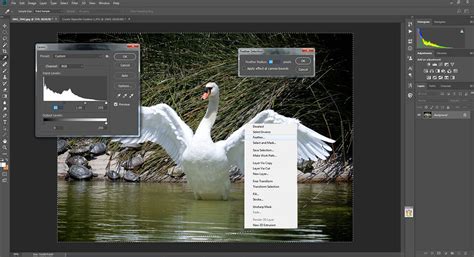 how to create a vignette effect using adobe photoshop