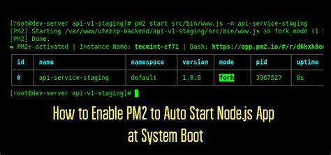 How To Enable Pm2 To Auto Start Nodejs App At System Boot