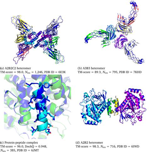 Pdf Protein Complex Prediction With Alphafold Multimer 2021