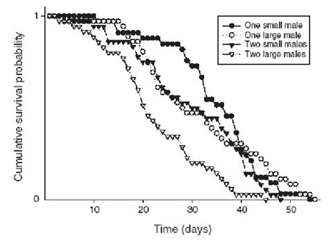 Female Survival As A Function Of Time In The Four Groups Download Scientific Diagram