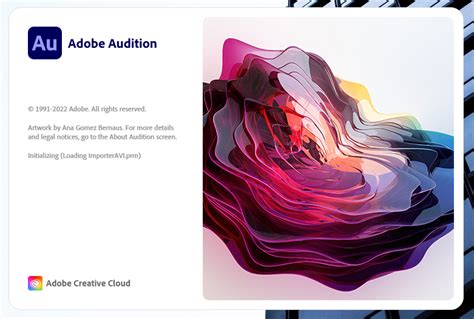 audition stops initializing on loading importerav adobe community
