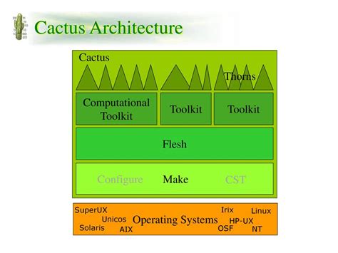 the cactus team albert einstein institute ppt download