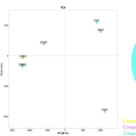 Overview Of Differentially Expressed Genes Degs A Hierarchical