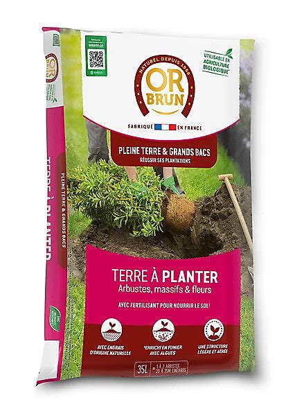 Terre à Planter Arbustes Massifs Et Fleurs Or Brun 35l Castorama