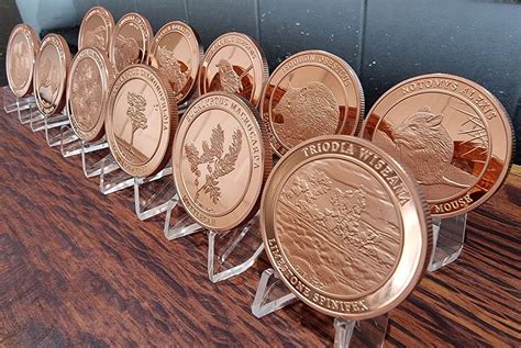 12pc Gwb 1oz Copper Round Set Entire Flora And Fauna Series Or Choose